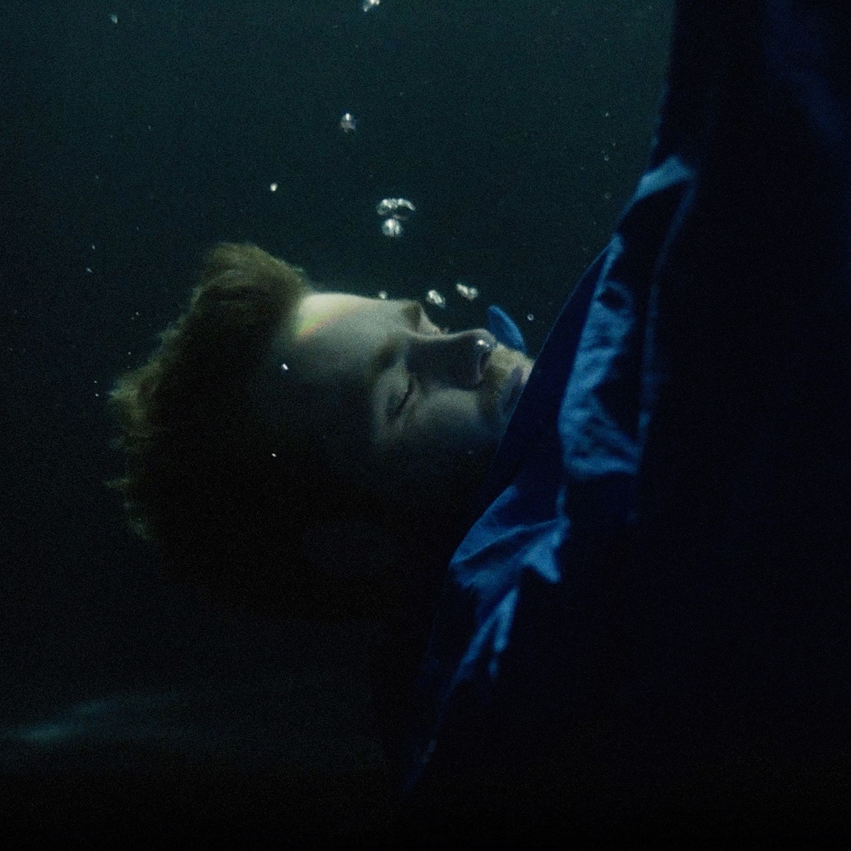 Alex Warren Official Website